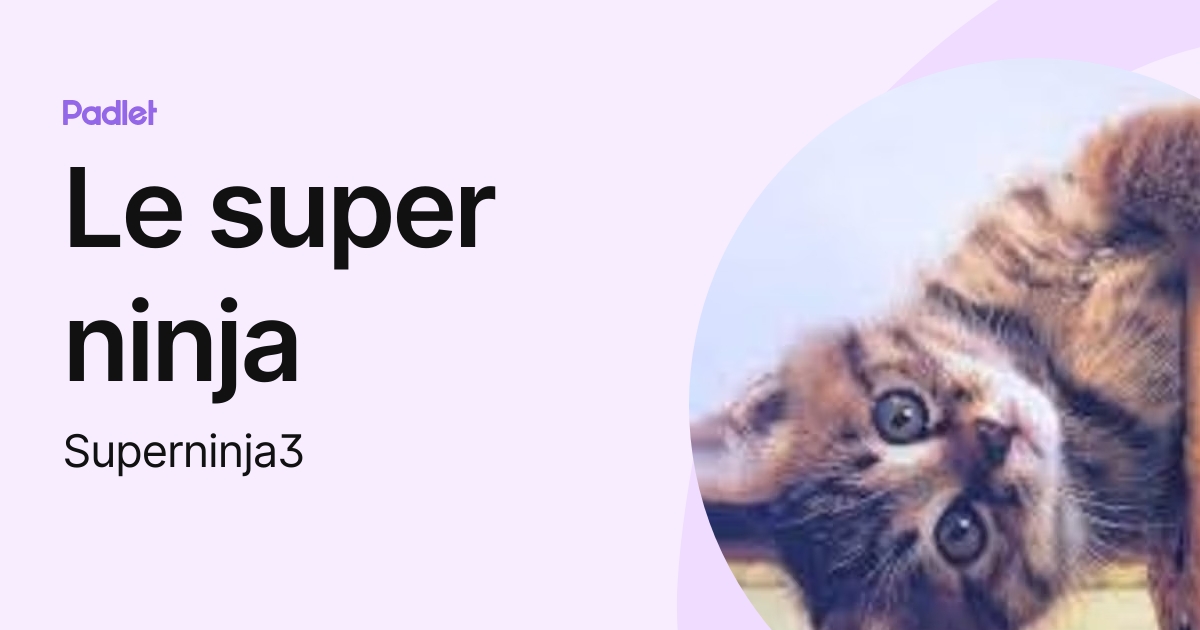 Le super ninja (Superninja3) profile | Padlet