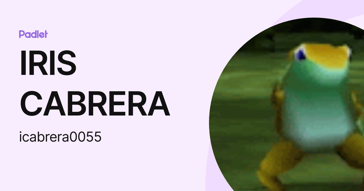 IRIS CABRERA (icabrera0055) profile | Padlet