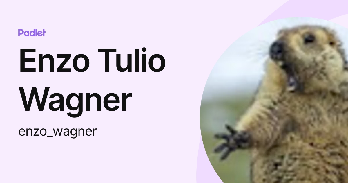 Enzo Tulio Wagner (enzo_wagner) profile | Padlet