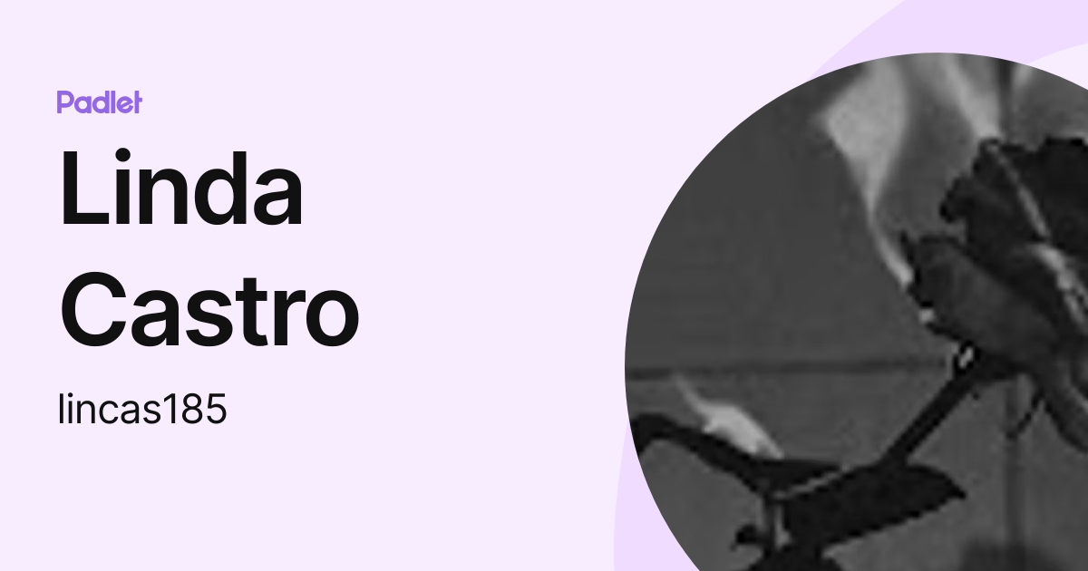 Linda Castro (lincas185) profile | Padlet