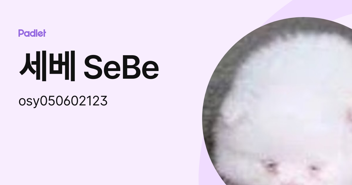 세베 SeBe (osy050602123) profile | Padlet