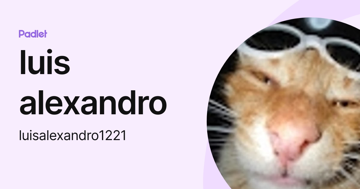 luis alexandro (luisalexandro1221) profile | Padlet