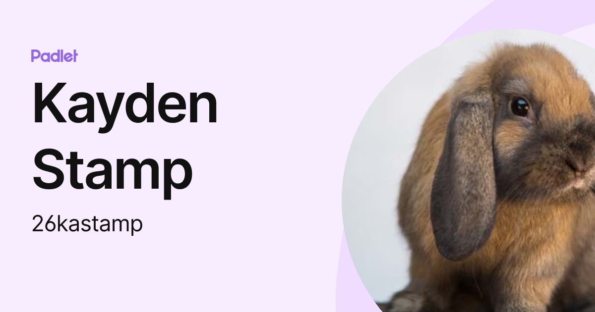 Kayden Stamp (26kastamp) profile | Padlet