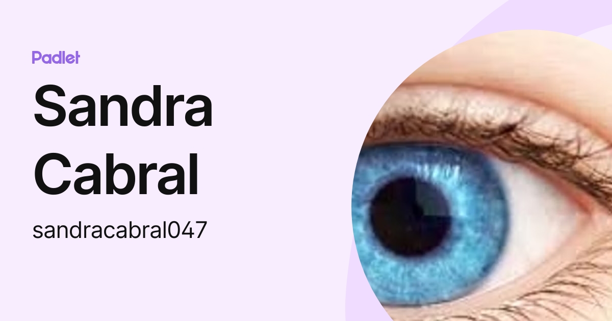 Sandra Cabral (sandracabral047) profile | Padlet
