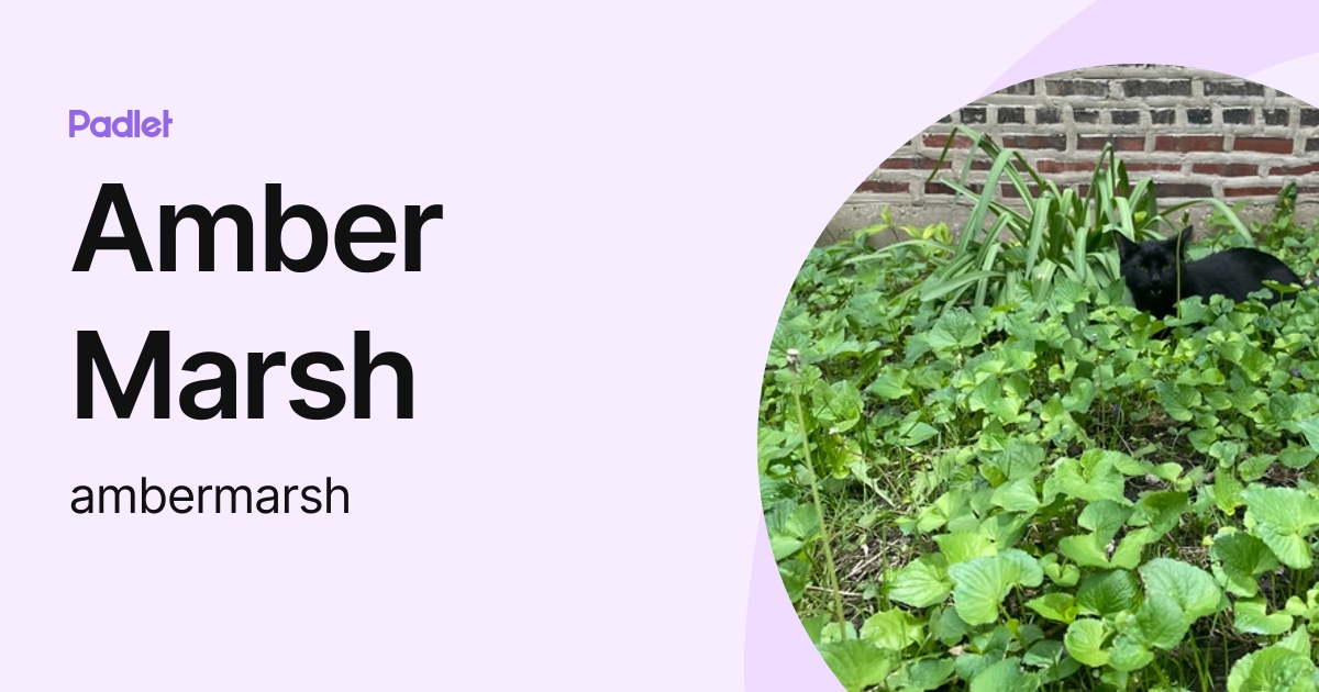 Amber Marsh (ambermarsh) profile | Padlet