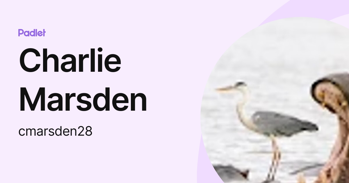 Charlie Marsden (cmarsden28) profile | Padlet