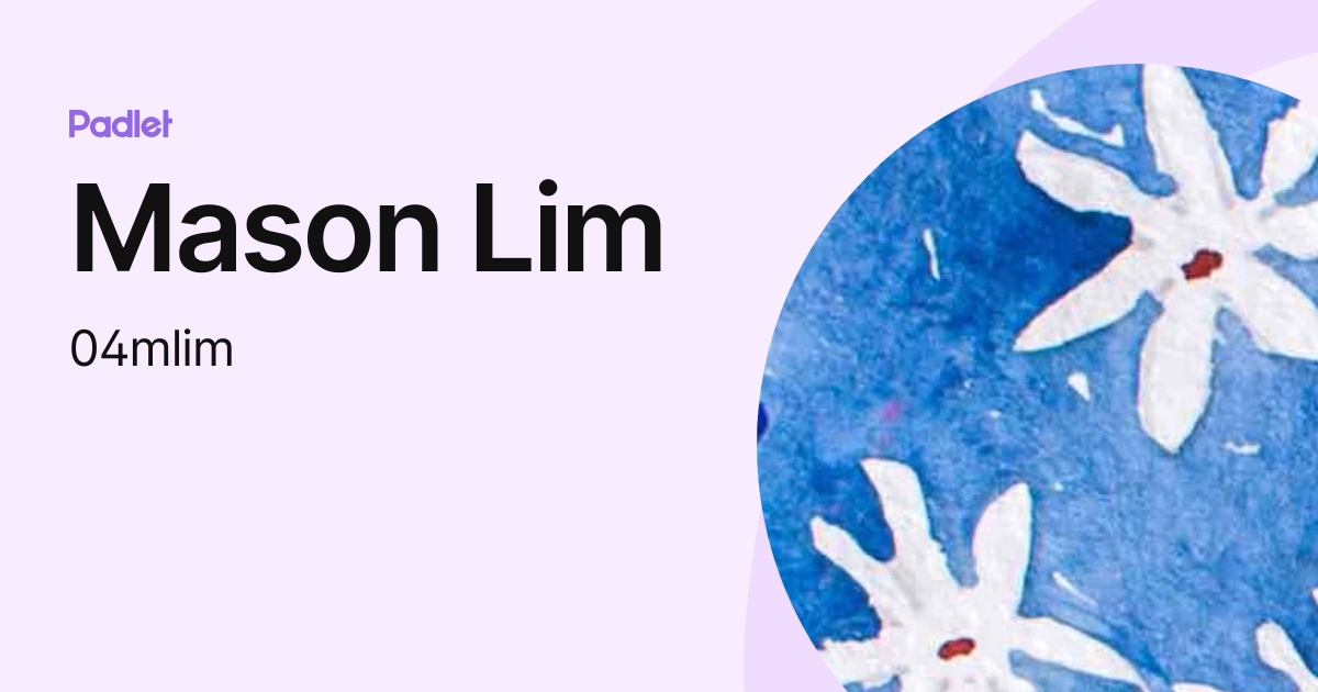 Mason Lim (04mlim) profile | Padlet