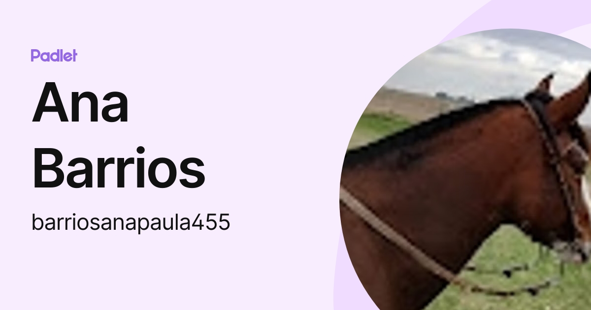 Ana Barrios (barriosanapaula455) profile | Padlet