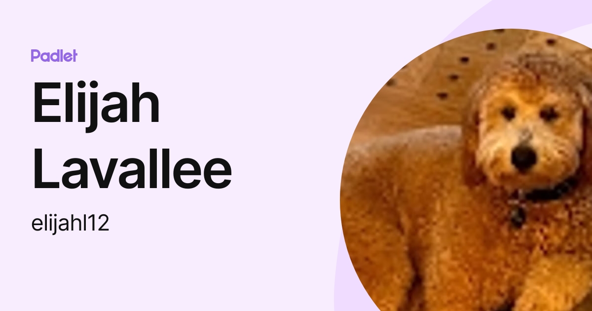 Elijah Lavallee (elijahl12) profile | Padlet