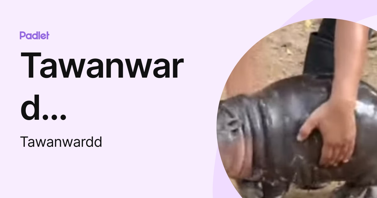 qcumber (Tawanwardd) profile | Padlet