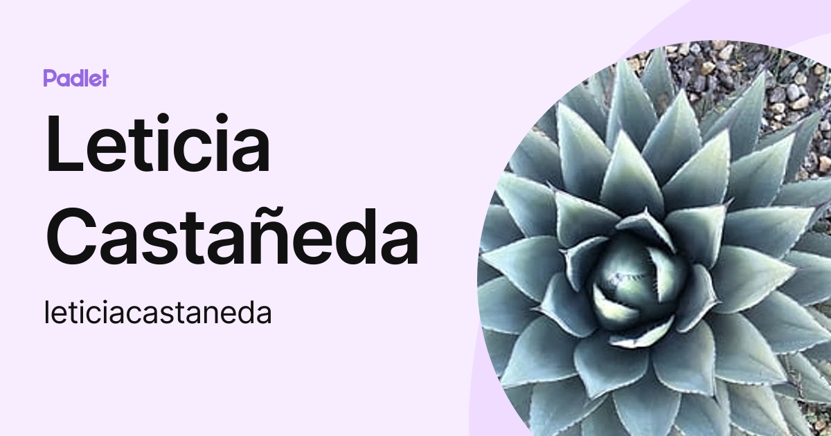 Leticia Castañeda (leticiacastaneda) perfil | Padlet