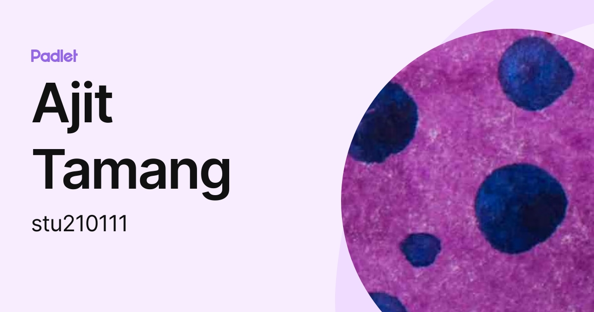 Ajit Tamang (stu210111) profile | Padlet