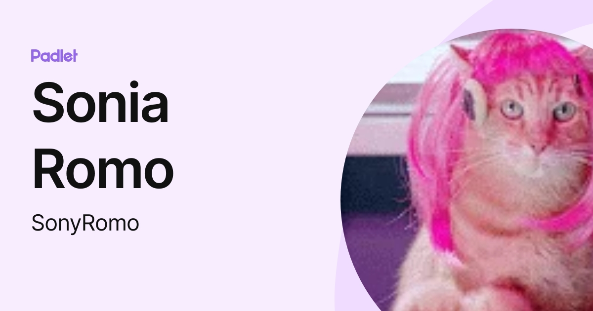 Sonia Romo (SonyRomo) profile | Padlet