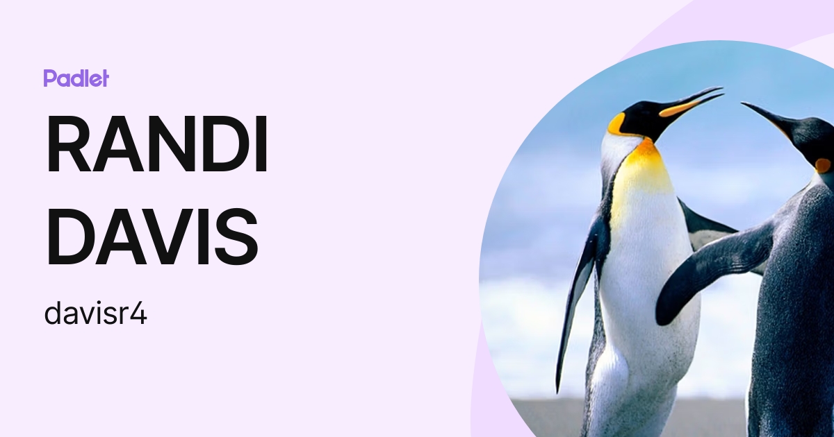 RANDI DAVIS (davisr4) profile | Padlet