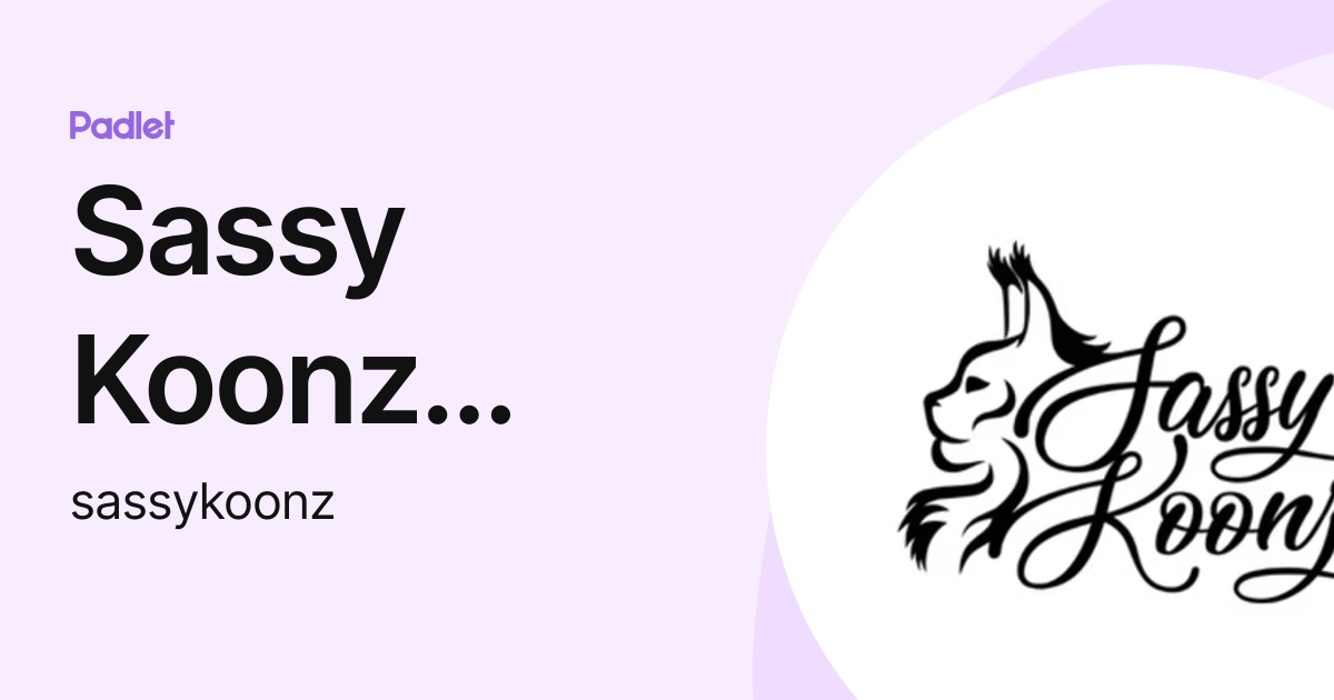 Sassy Koonz Maine Coon Kittens (sassykoonz) profile | Padlet