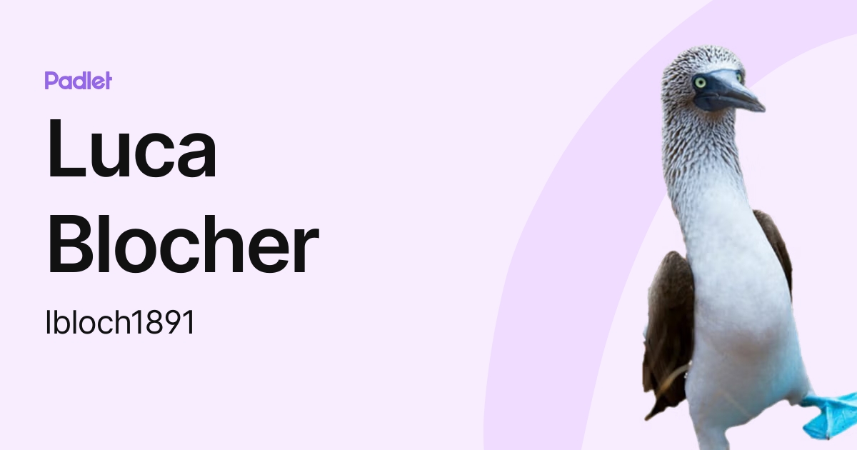 Luca Blocher (lbloch1891) profile | Padlet