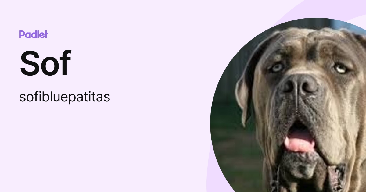 Sof (sofibluepatitas) profile | Padlet
