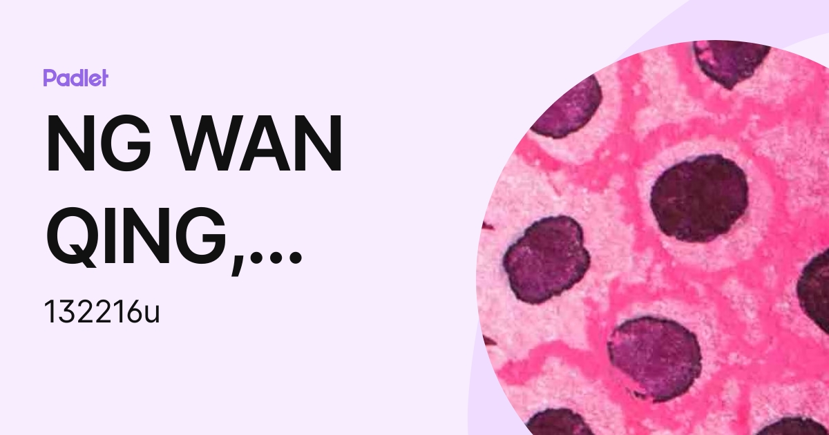 NG WAN QING, ADELE HCI (132216u) profile | Padlet