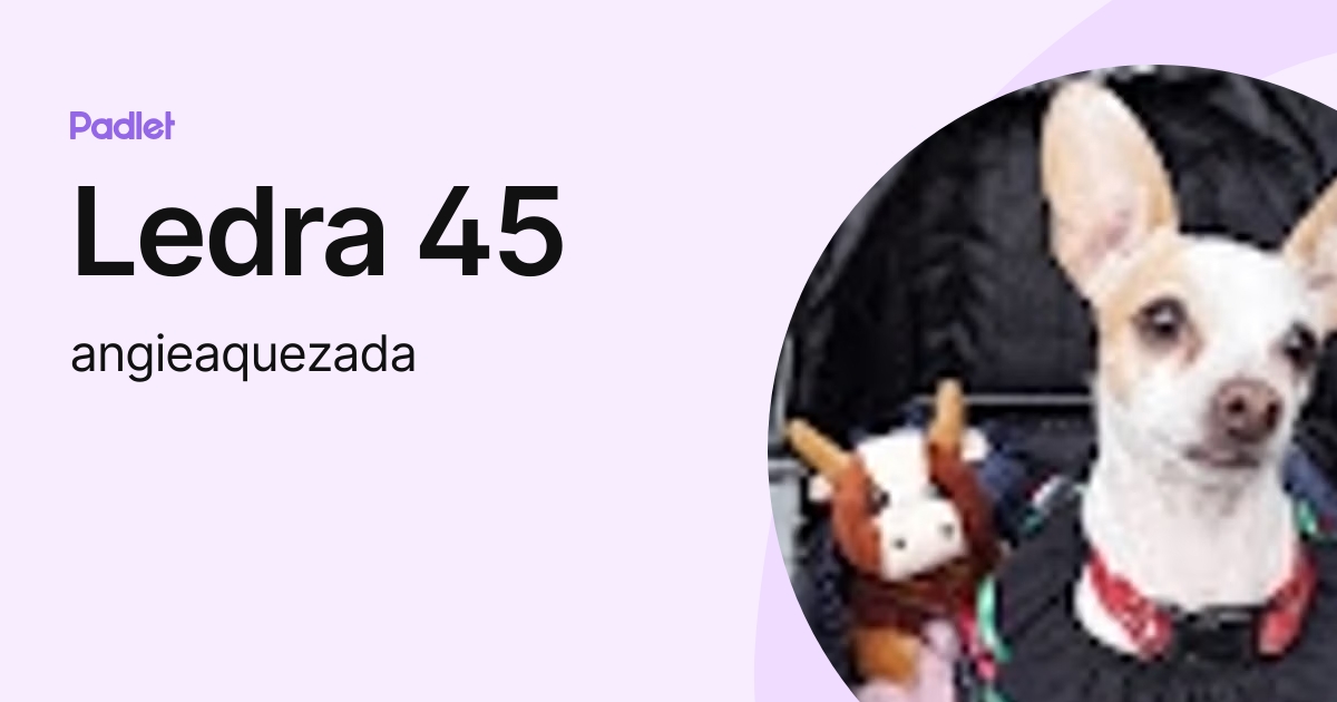 Ledra 45 (angieaquezada) profile | Padlet
