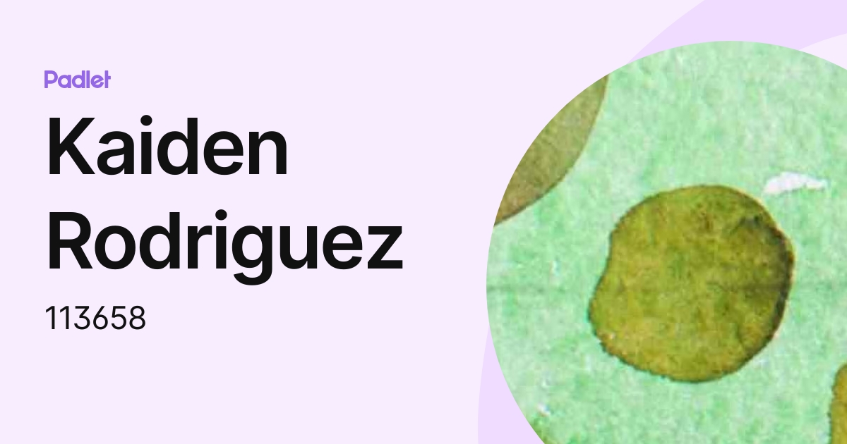 Kaiden Rodriguez (113658) profile | Padlet