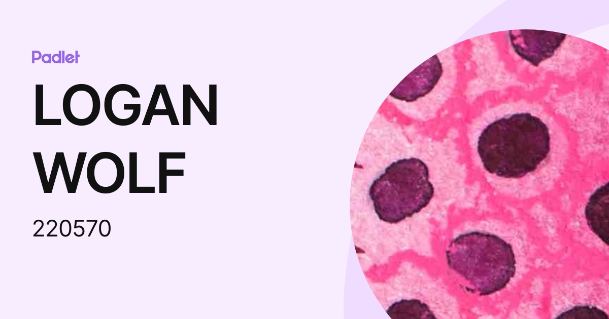 LOGAN WOLF (220570) profile | Padlet