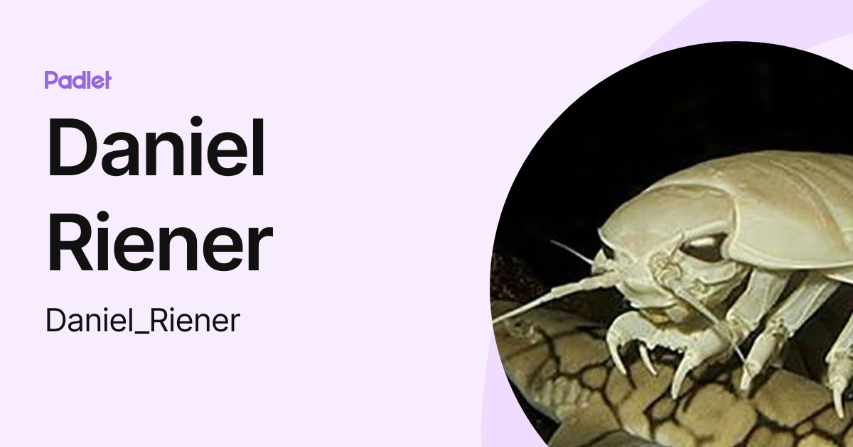 Daniel Riener (Daniel_Riener) profile | Padlet