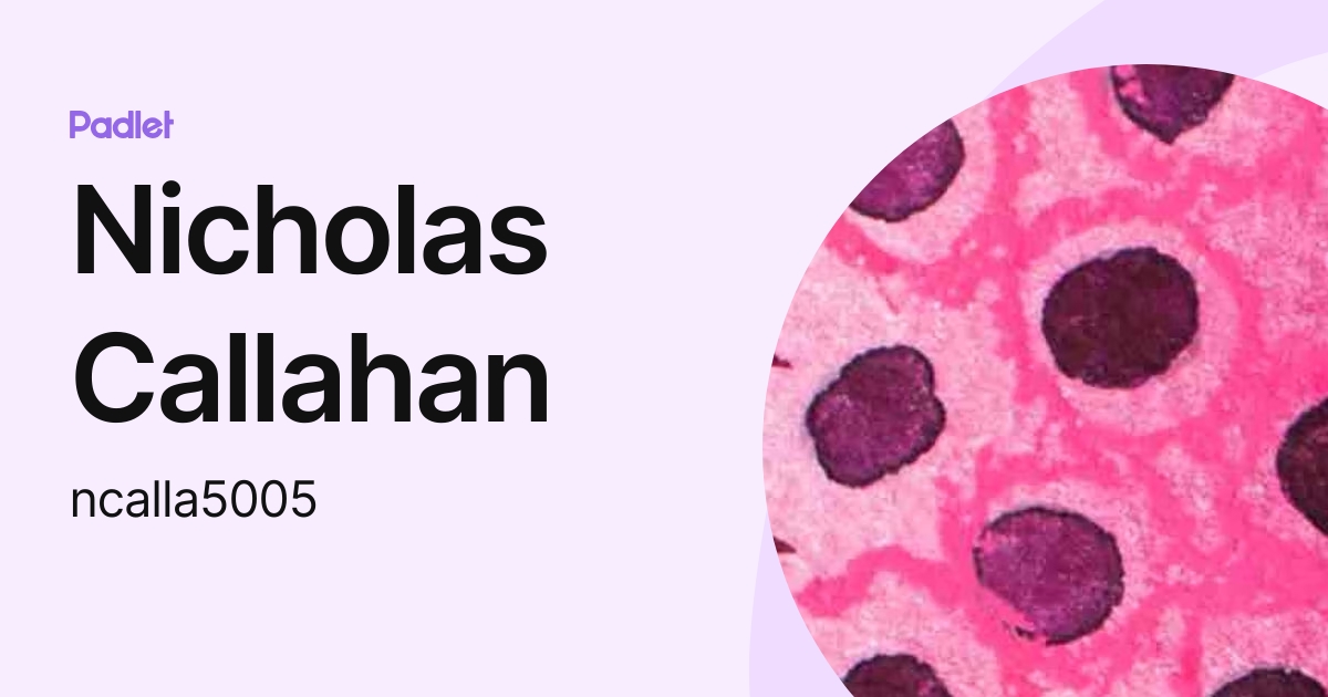 Nicholas Callahan (ncalla5005) profile | Padlet