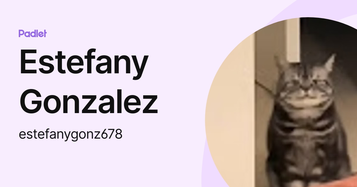 Estefany Gonzalez (estefanygonz678) profile | Padlet