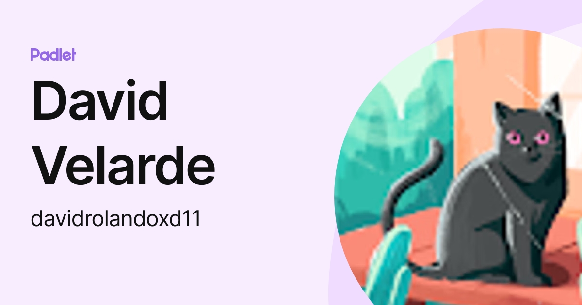 David Velarde (davidrolandoxd11) profile | Padlet