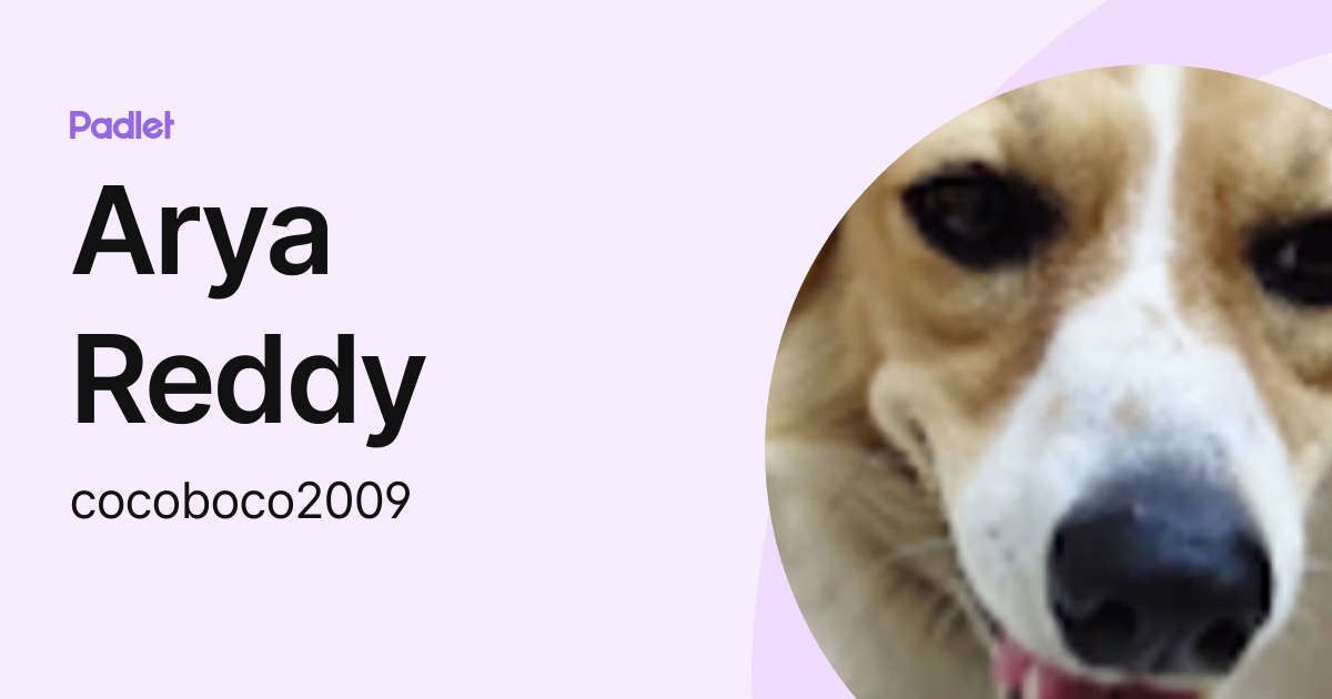 Arya Reddy (cocoboco2009) profile | Padlet