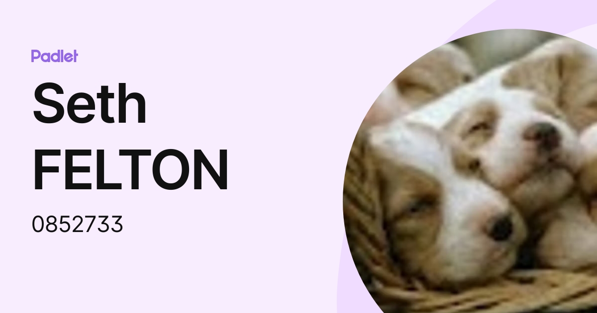 Seth FELTON (0852733) profile | Padlet