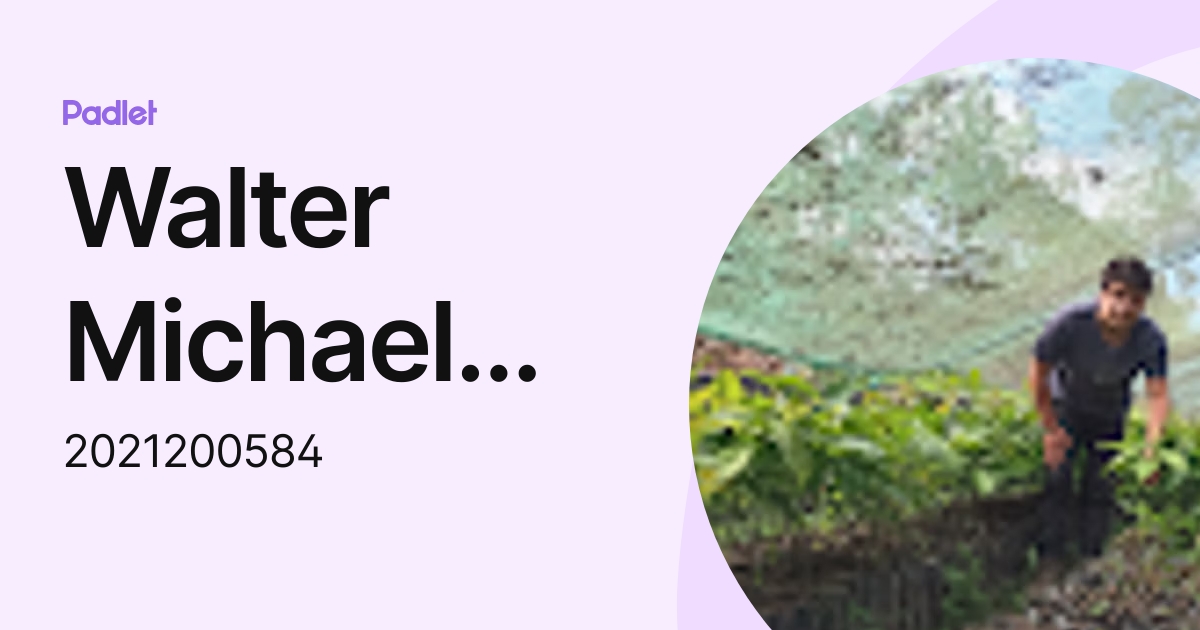 Walter Michael Abarca Rodriguez (2021200584) profile | Padlet