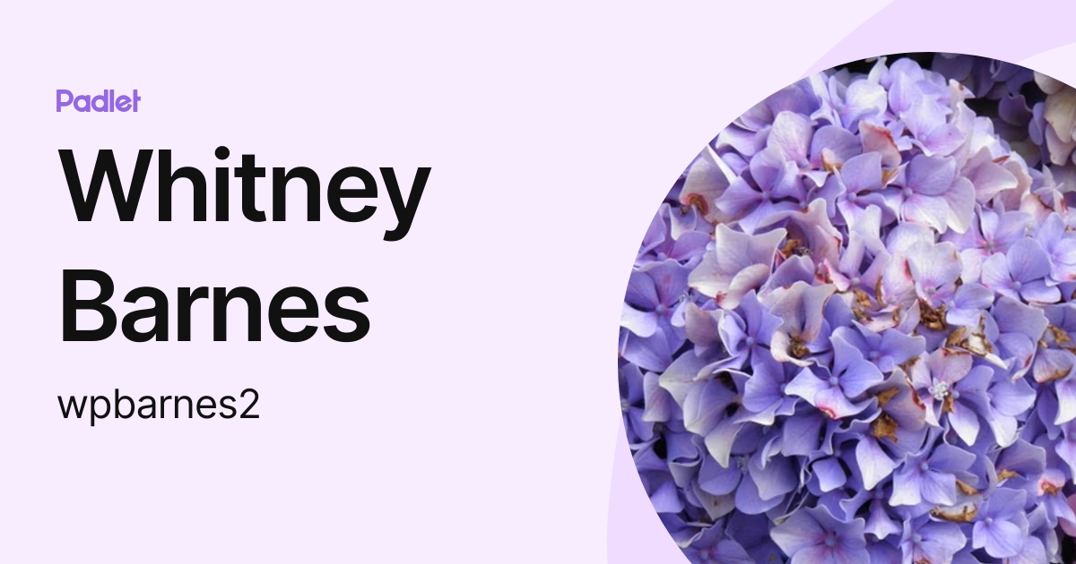 Whitney Barnes (wpbarnes2) profile | Padlet