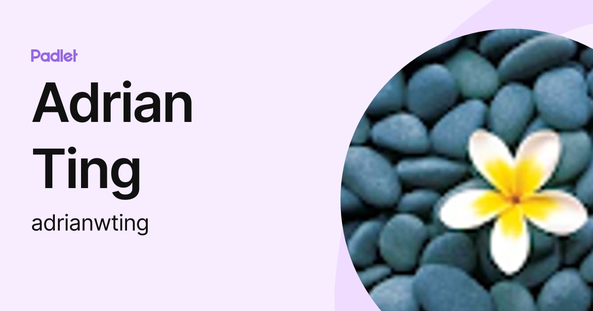 Adrian Ting (adrianwting) profile | Padlet
