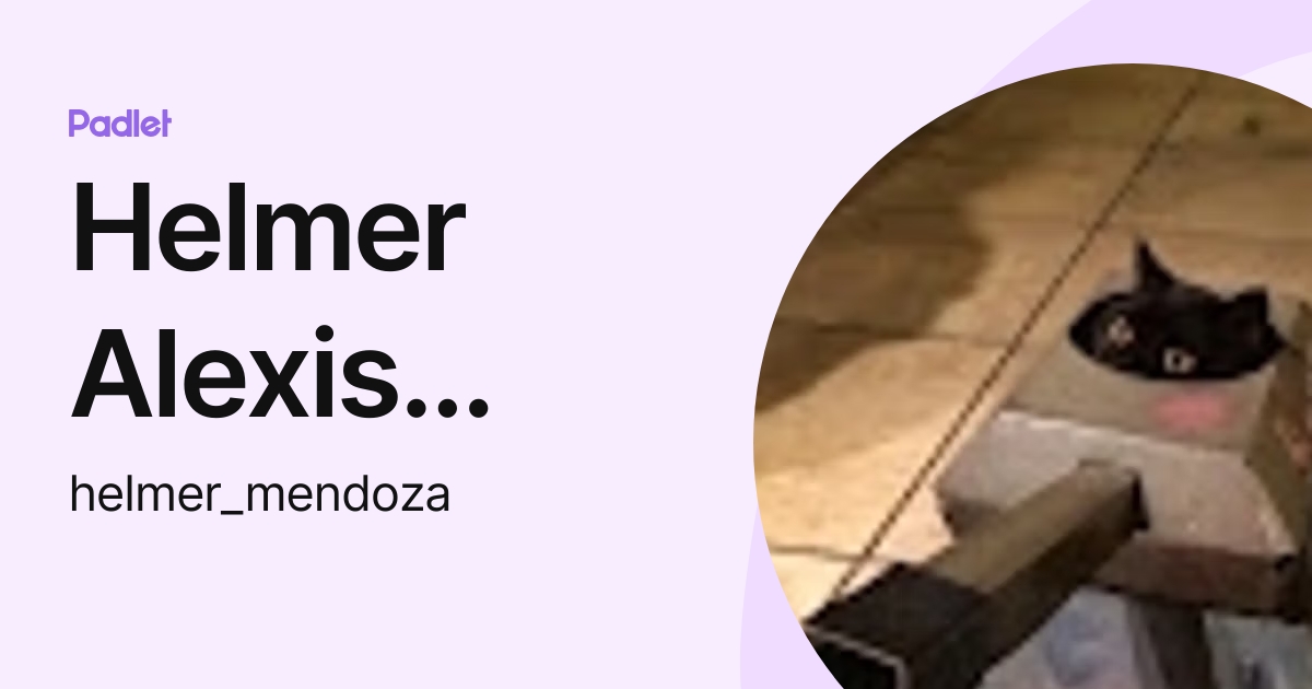 Helmer Alexis mendoza Villalobos (helmer_mendoza) profile | Padlet