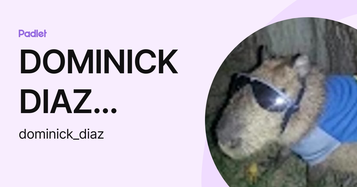 DOMINICK DIAZ TAYPE (dominick_diaz) profile | Padlet