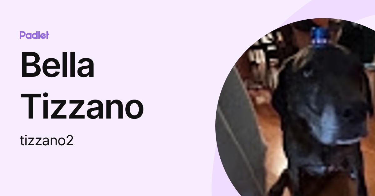 Bella Tizzano (tizzano2) profile | Padlet