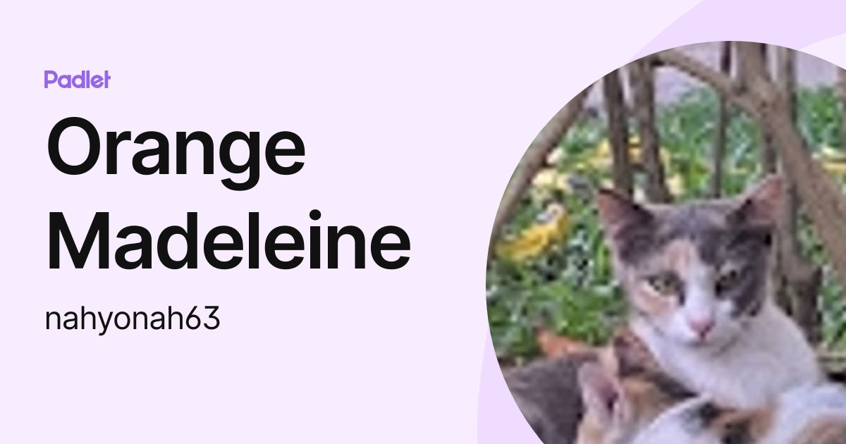 Orange Madeleine (nahyonah63) profile | Padlet