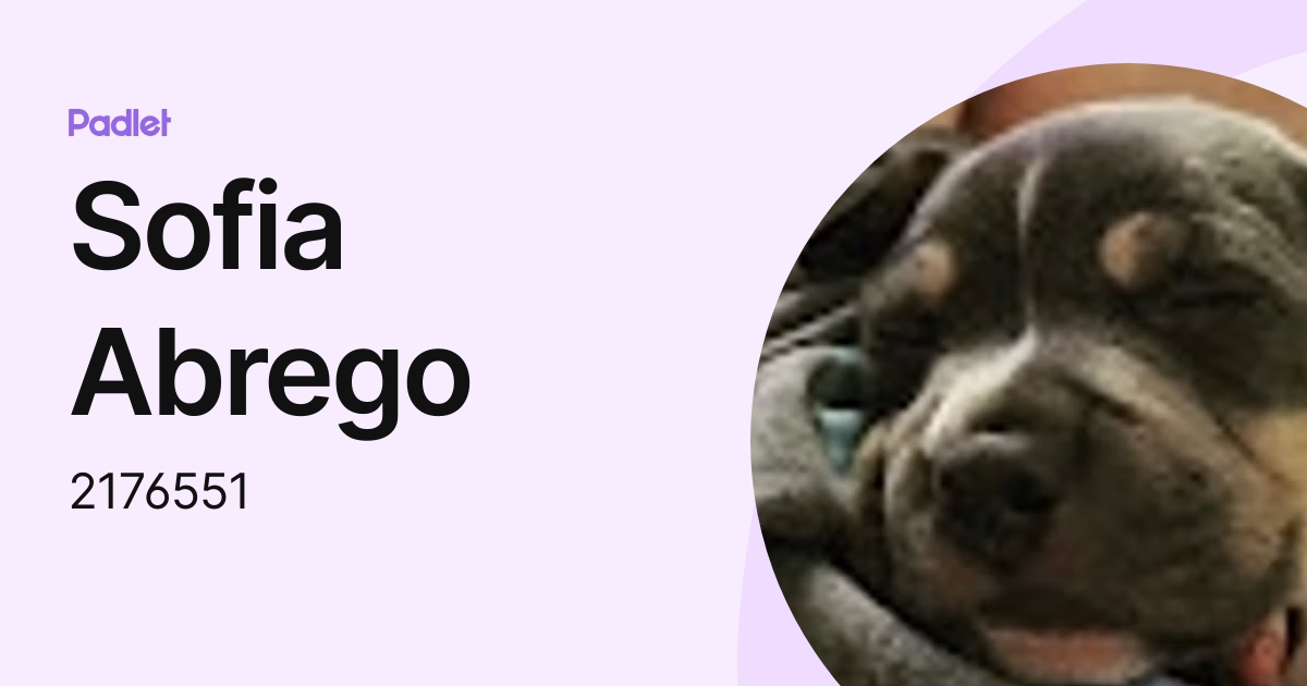 Sofia Abrego (2176551) profile | Padlet