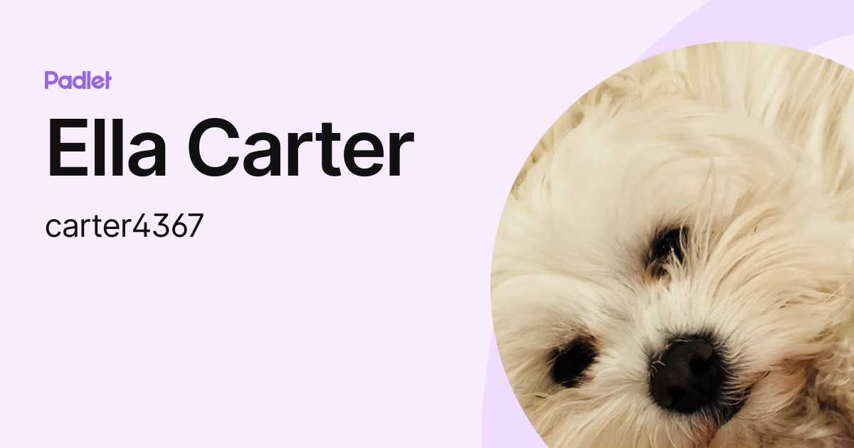 Ella Carter (carter4367) profile | Padlet