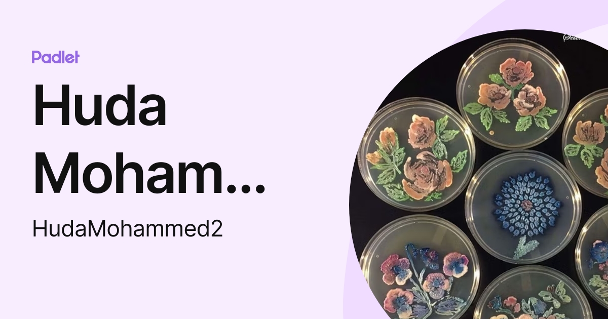 Huda Mohammed (HudaMohammed2) profile | Padlet