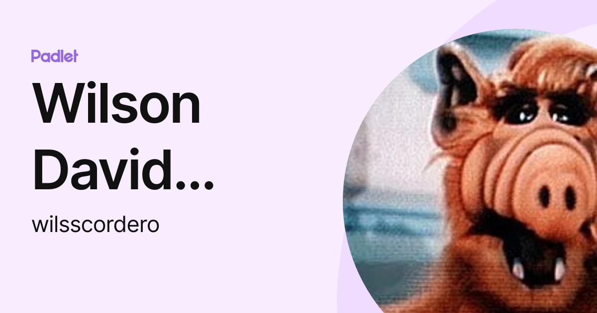 Wilson David Cordero (wilsscordero) profile | Padlet