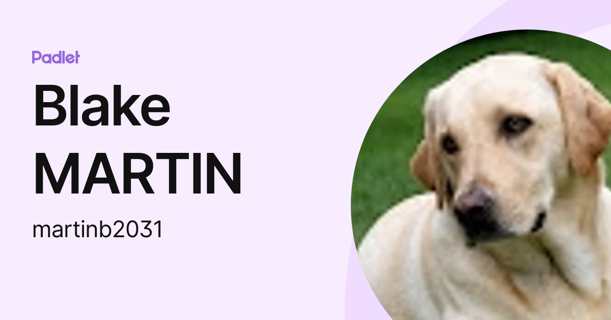 Blake MARTIN (martinb2031) profile | Padlet