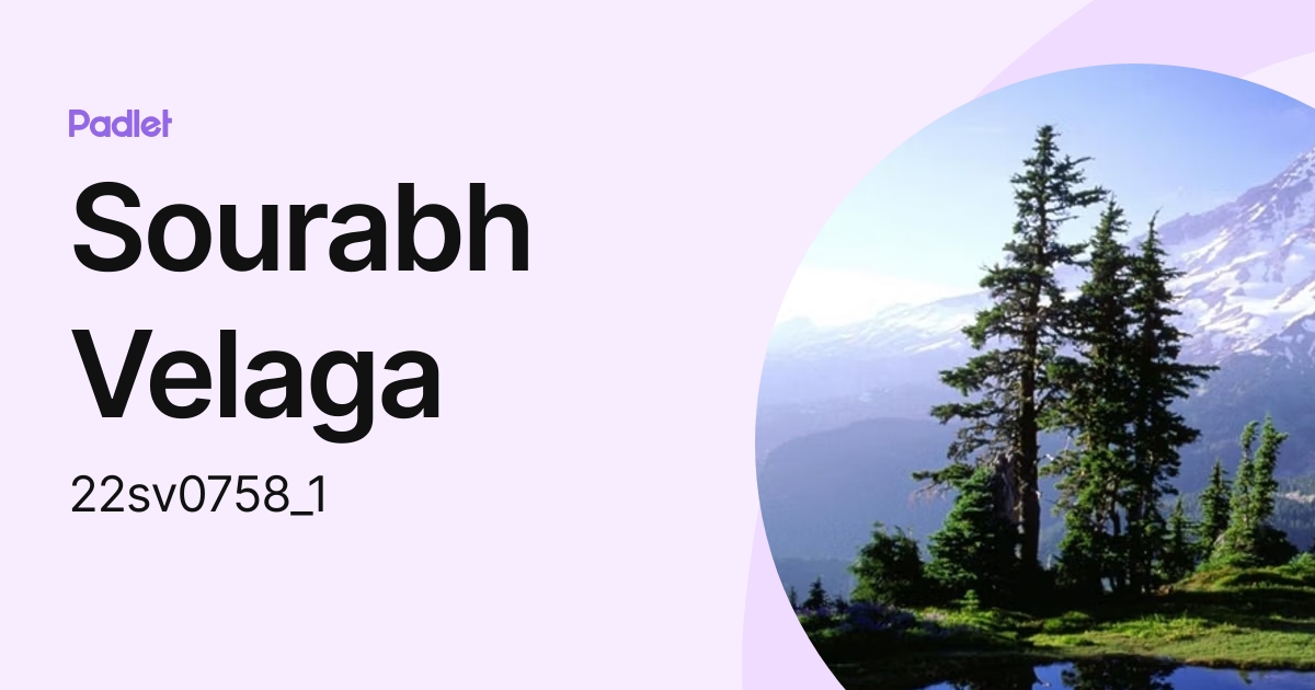 Sourabh Velaga (SourabhVelaga) profile | Padlet