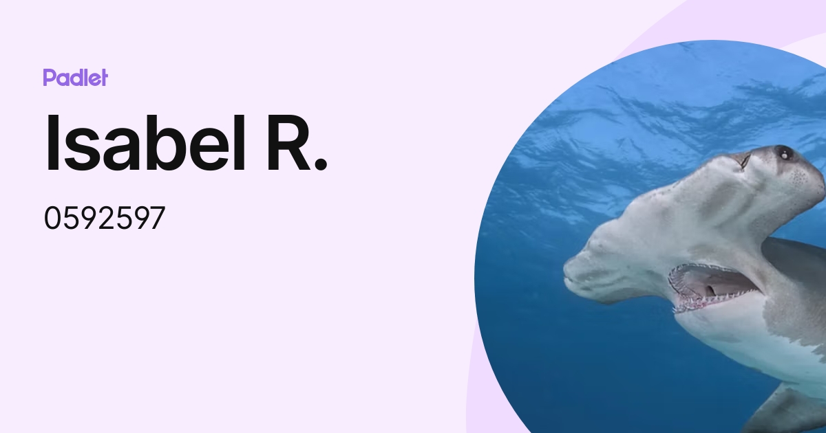 Isabel R. (0592597) profile | Padlet