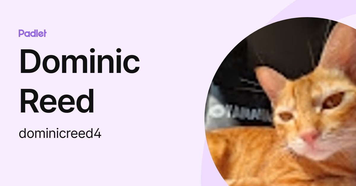 Dominic Reed (dominicreed1) profile | Padlet