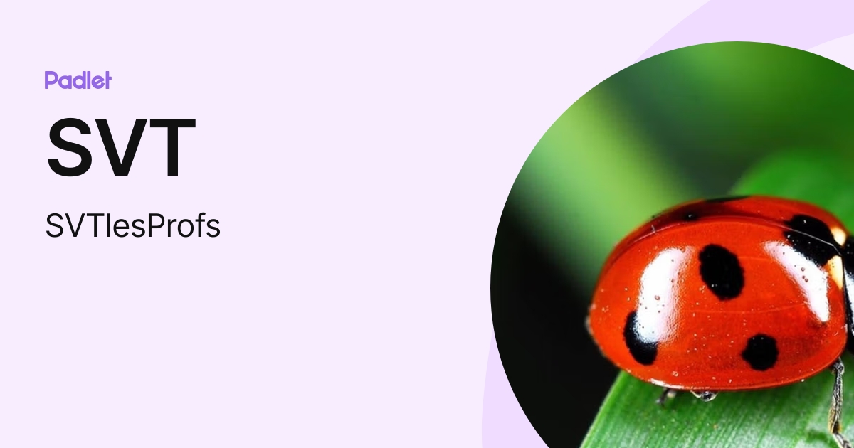 SVT (SVTlesProfs) profile | Padlet