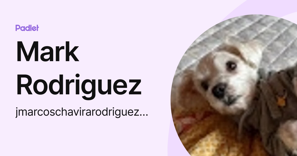 Mark Rodriguez (jmarcoschavirarodriguez267) profile | Padlet