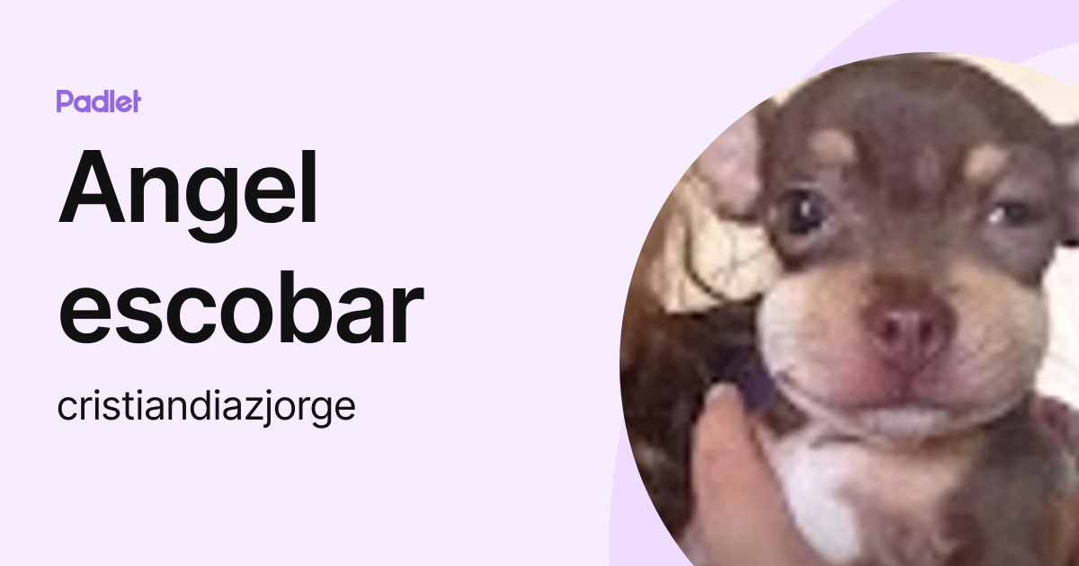 Angel escobar (cristiandiazjorge) profile | Padlet