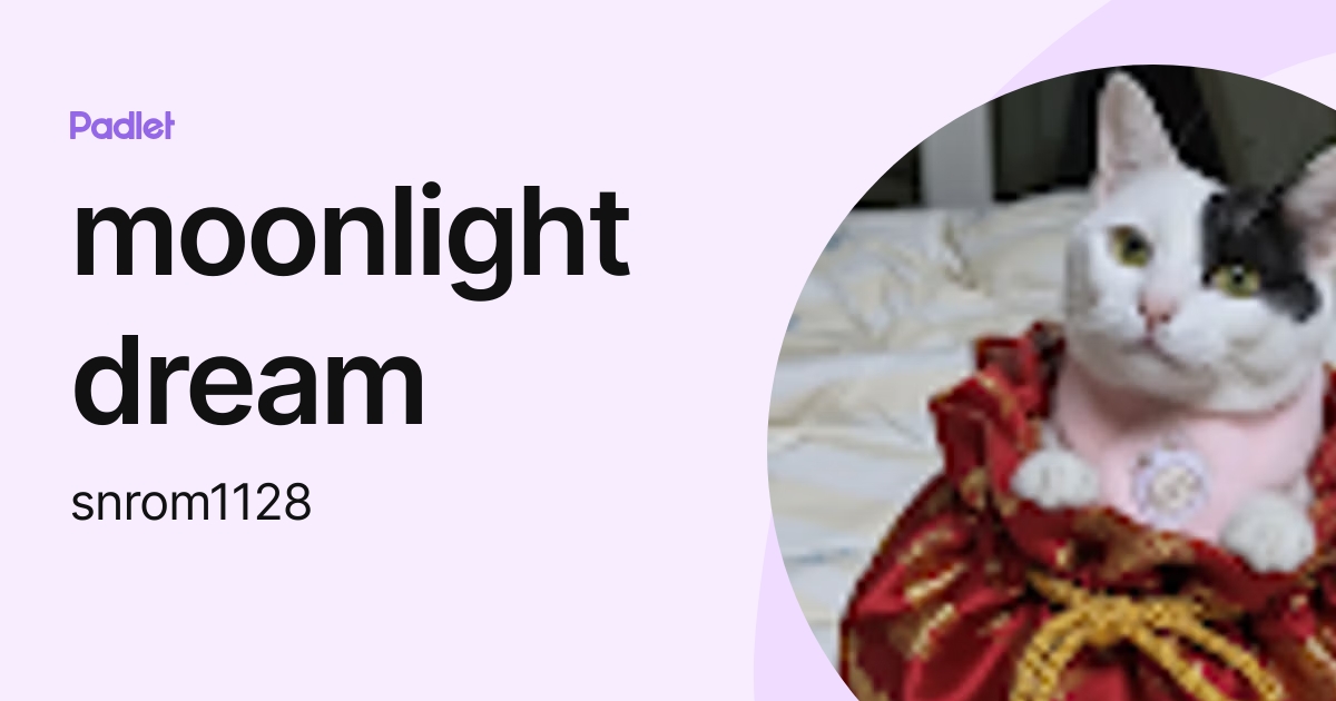 moonlight dream (snrom1128) profile | Padlet